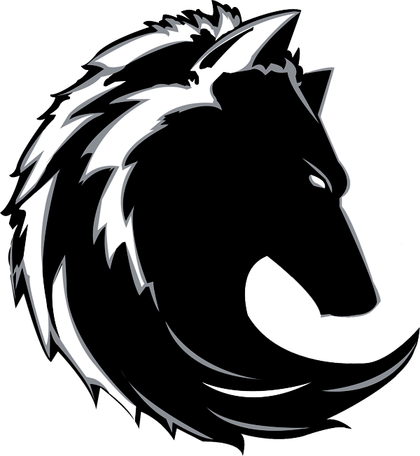 Leistungen- Wolfgraphics /// Agentur für Grafik & Webdesign Schwetzingen